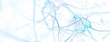 Biocomputers made of human neurons | BBVA Switzerland